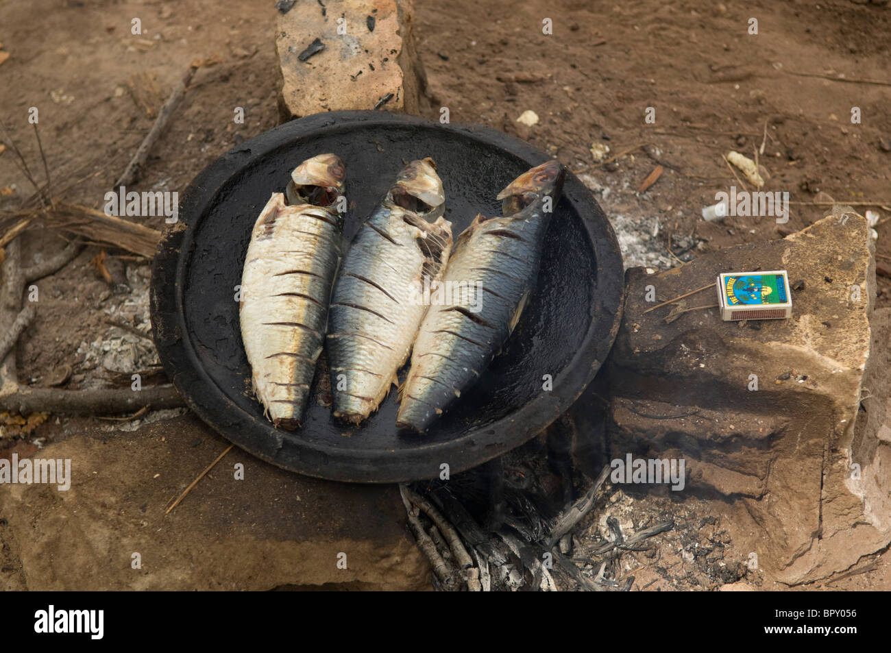 Frying fish, Elinkine, Casamance, Senegal Stock Photo - Alamy