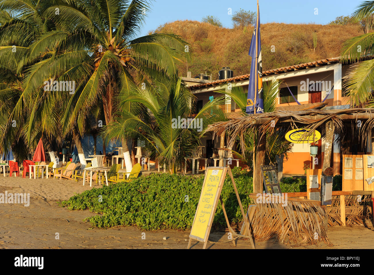 Cafe and palm trees hi-res stock photography and images - Alamy