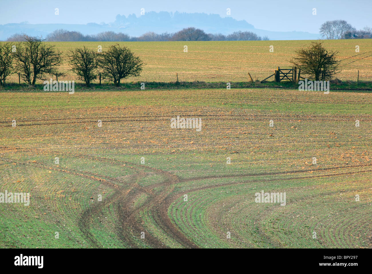 a view of a arable field showing cultivation patterns Stock Photo - Alamy