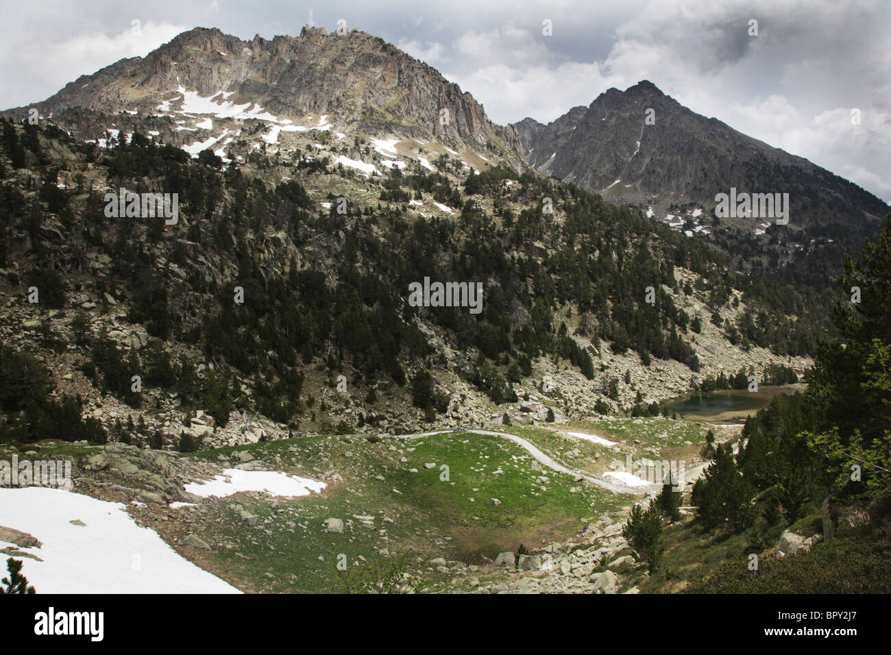 High Alpine forest and mountain cirque on Pyrenean Traverse track at D ...