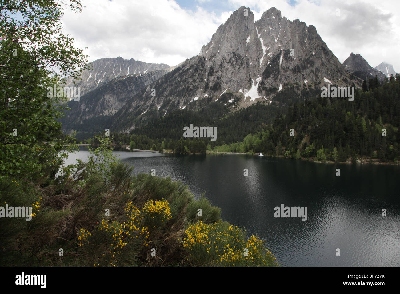 Sub alpine heath hi-res stock photography and images - Alamy