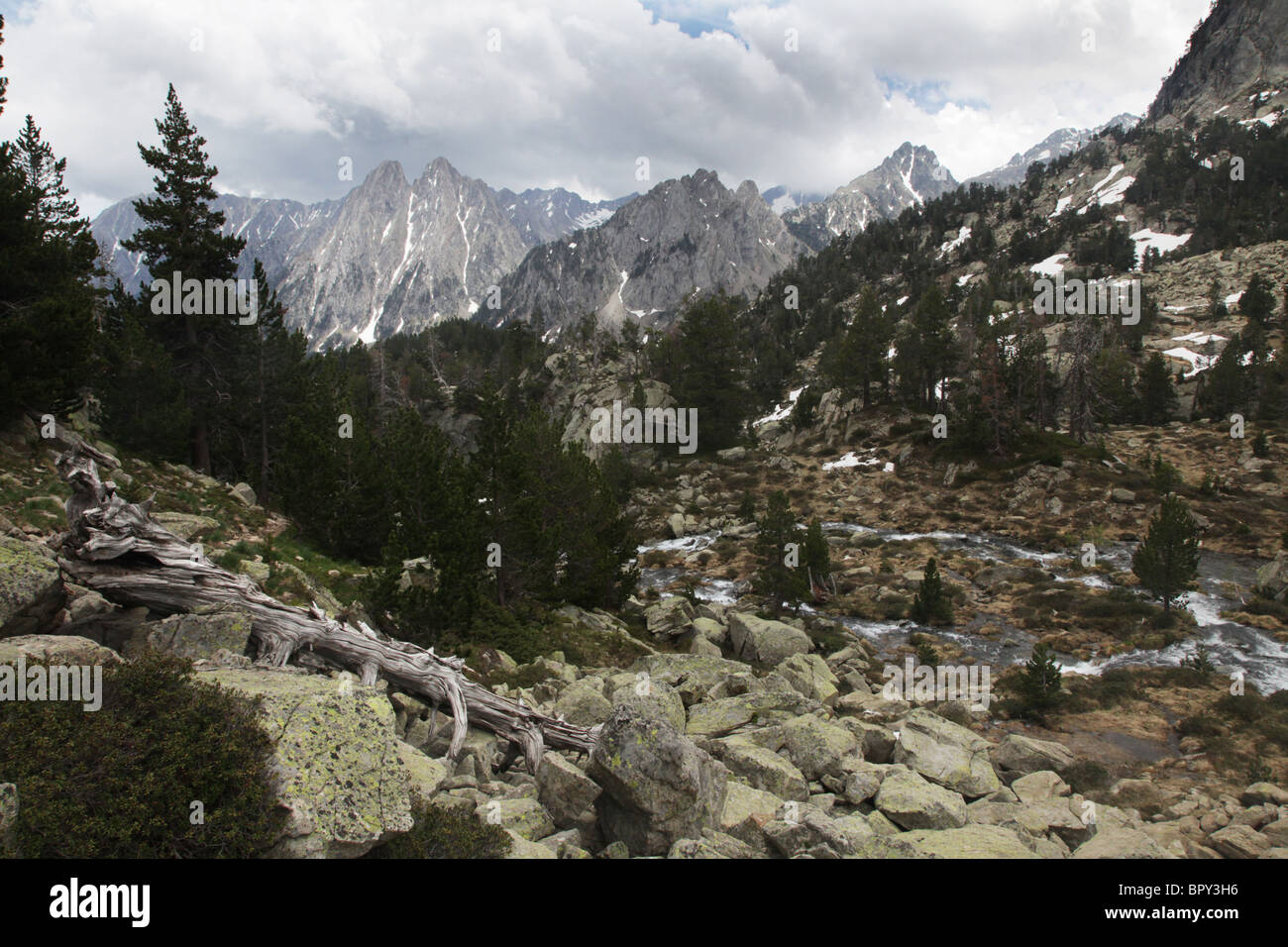 High Alpine forest and Els Encantats mountain peak on Pyrenean Traverse ...