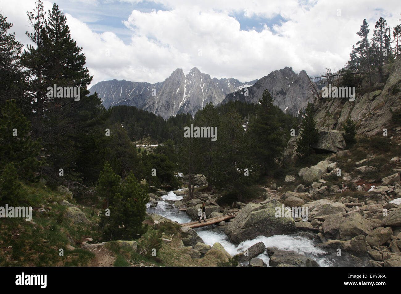 High Alpine forest and Els Encantats mountain peak on Pyrenean Traverse ...
