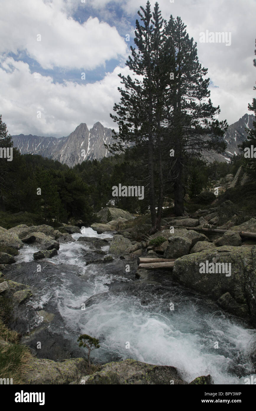 High Alpine forest and Els Encantats mountain peak on Pyrenean Traverse ...