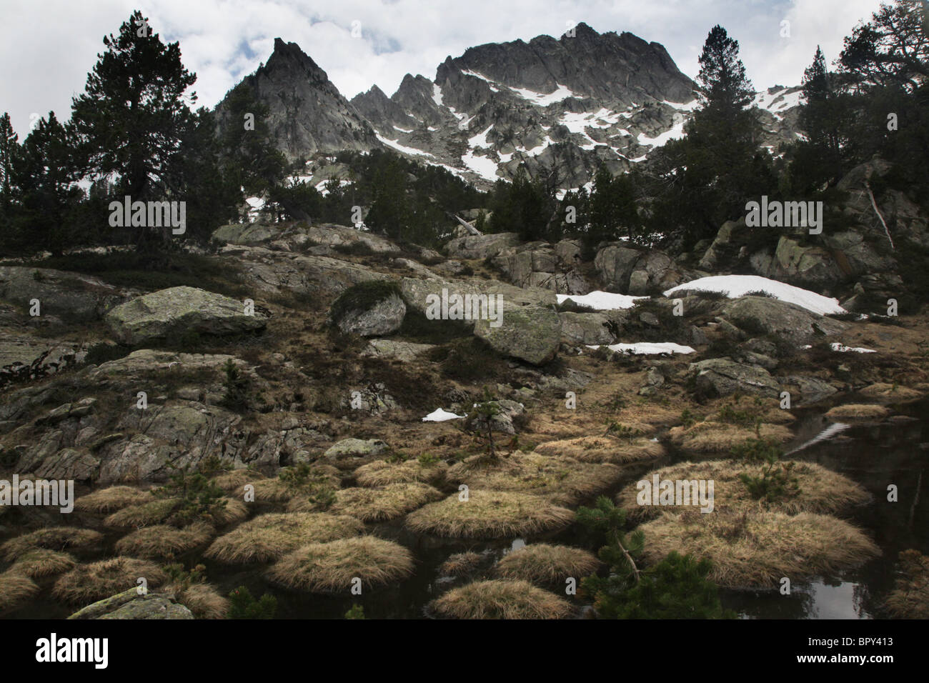 High Alpine forest and mountain cirque on Pyrenean Traverse track on ...