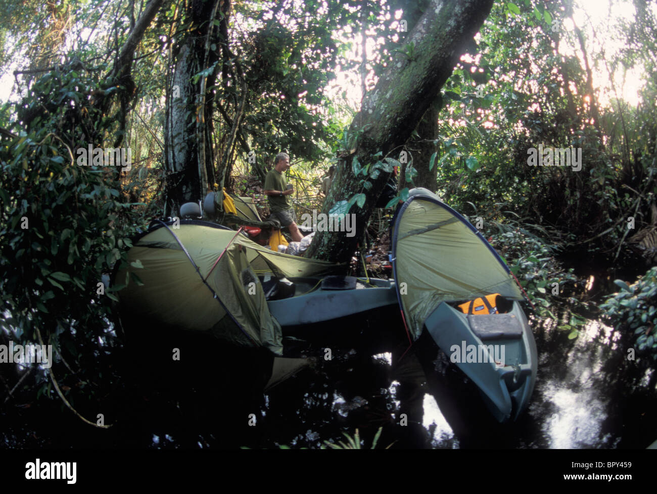 A man camps in swamp in Loango National Park, Gabon Stock Photo - Alamy