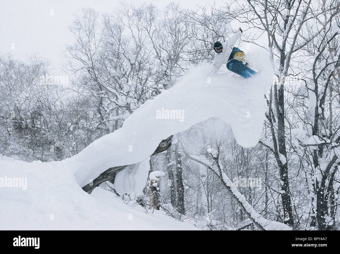 Snowboarder riding on Tree Stock Photo - Alamy