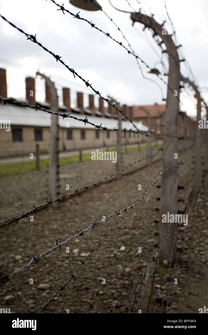 Double barbed wire perimeter fences at Auschwitz Concentration camp ...