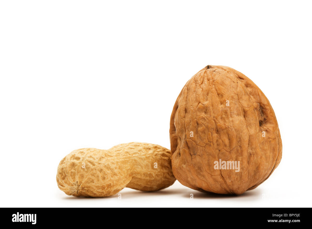 peanut and a walnut on white background Stock Photo - Alamy