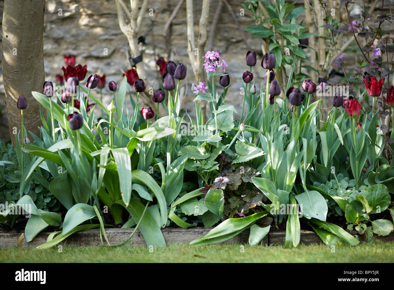 Fancy border hi-res stock photography and images - Alamy