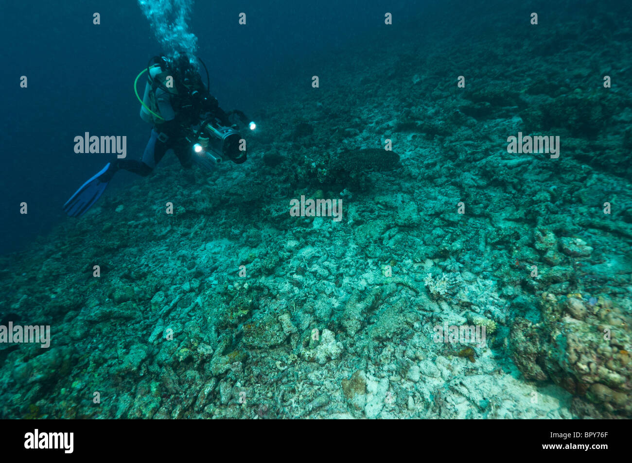 Diver with a video camera filming a reef destroyed by fish bombing, a ...