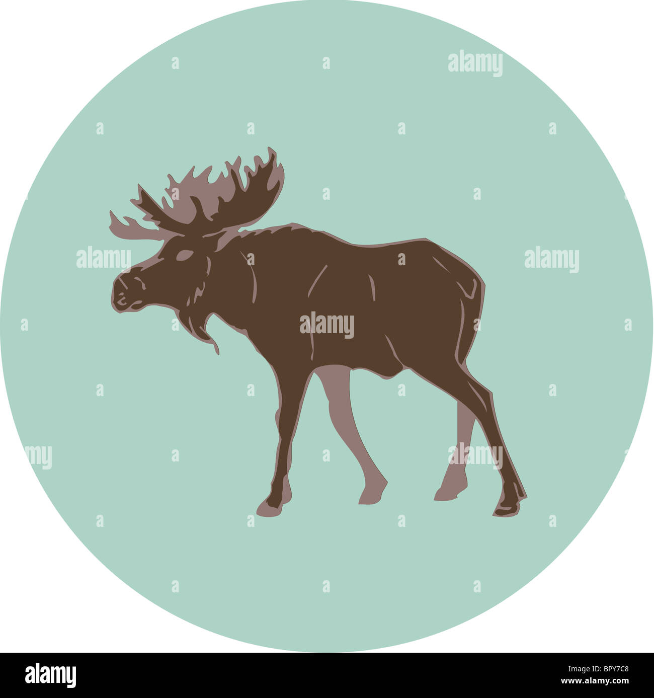 Realistic Cartoon Moose