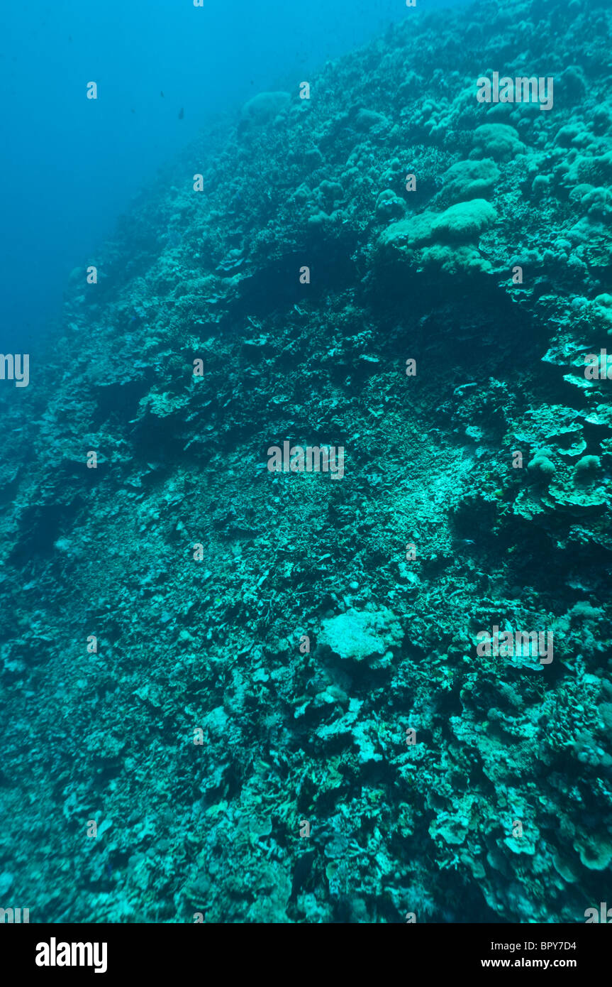 Destructive fishing practice hi-res stock photography and images - Alamy