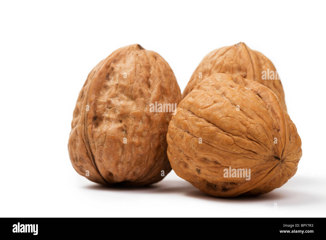 closeup of three walnuts on white background Stock Photo - Alamy