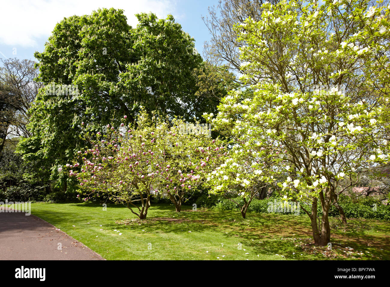 Dunster castle garden hi-res stock photography and images - Alamy