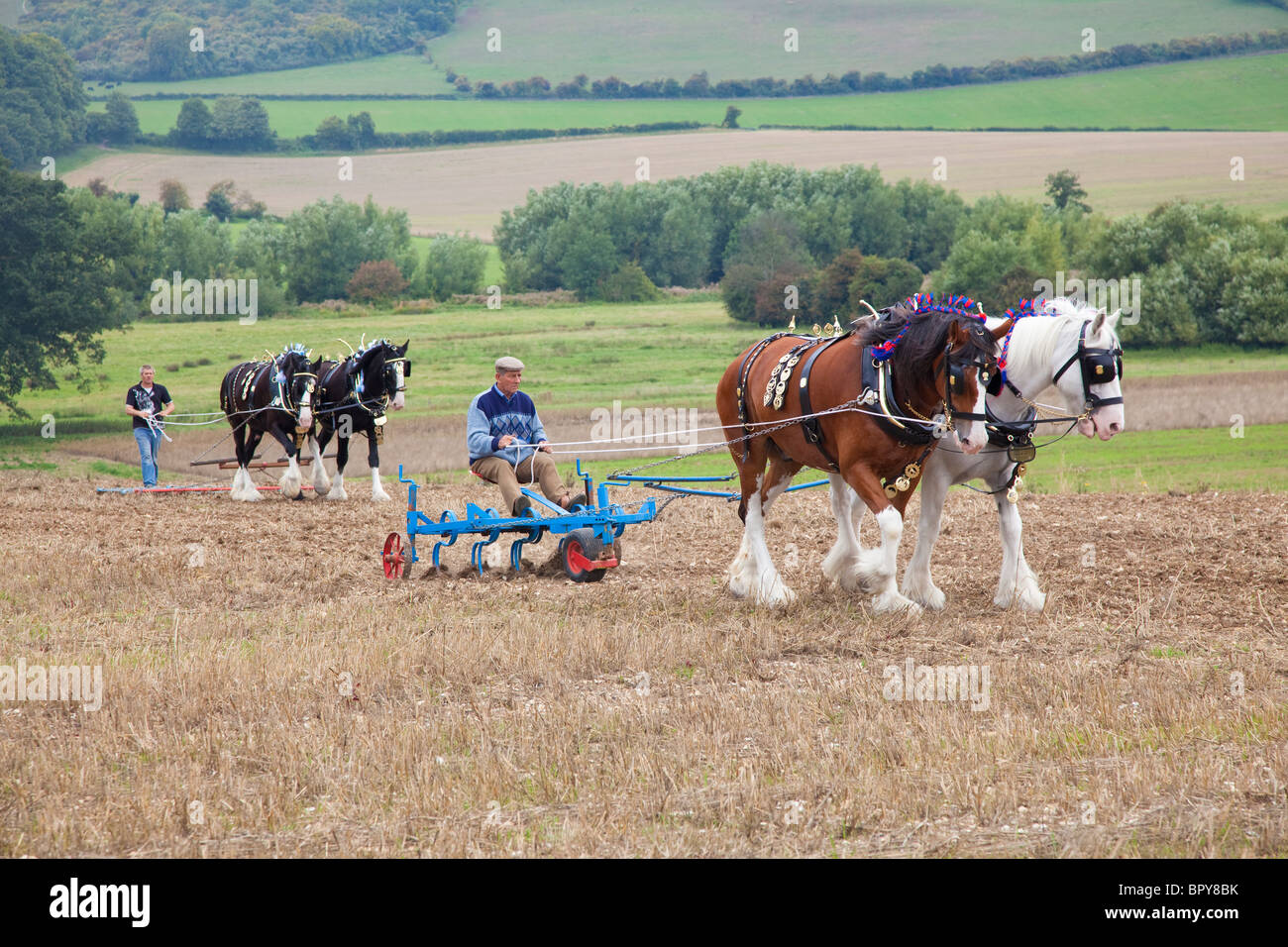 Working heavy horses. Two pairs of horses pulling two different types ...