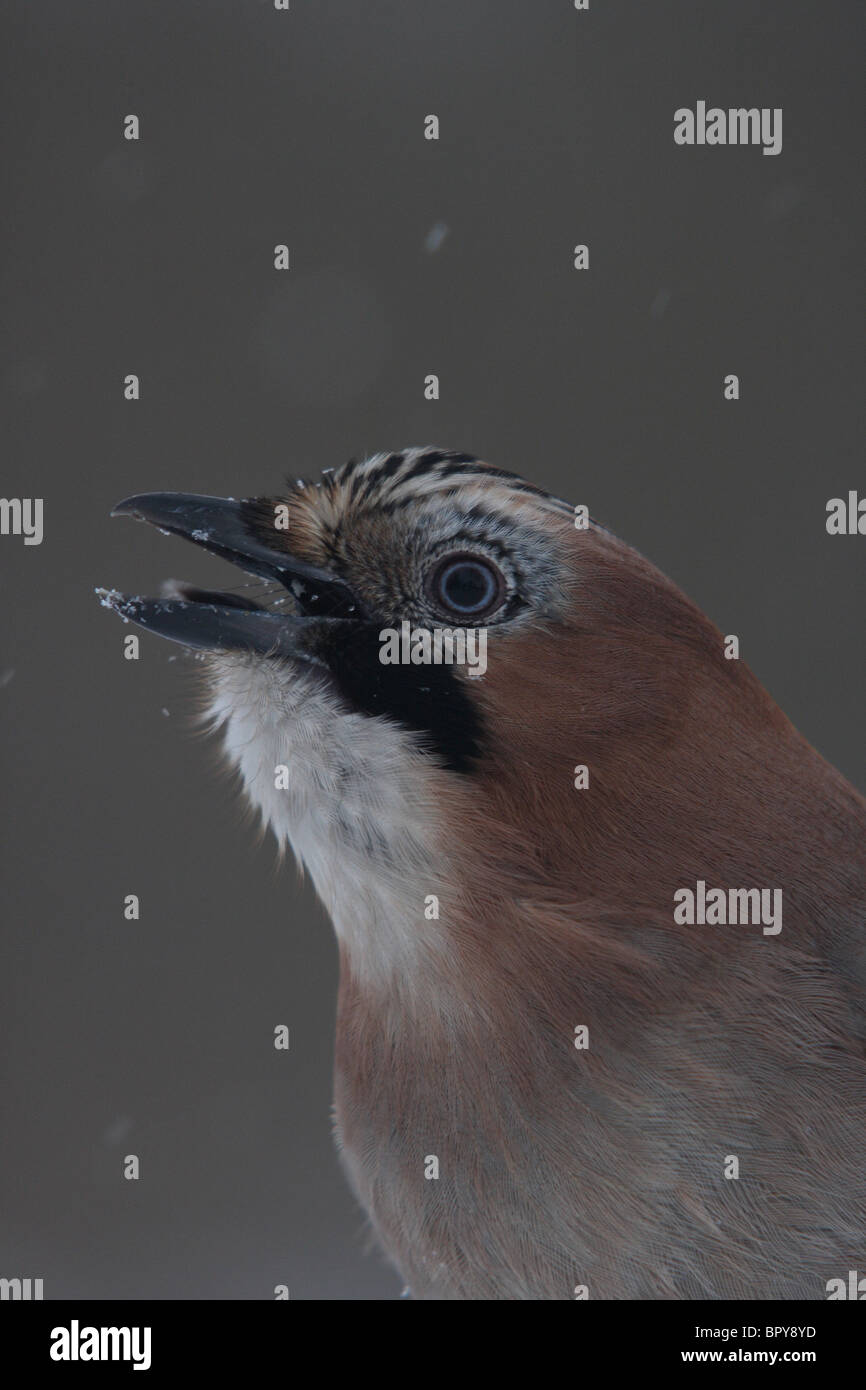 Jay peak hi-res stock photography and images - Alamy