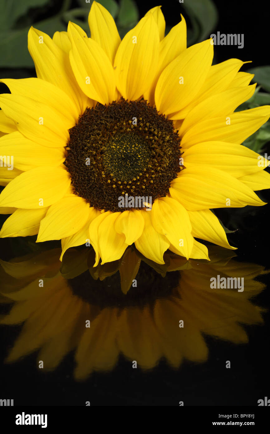Perfect round sun hi-res stock photography and images - Alamy