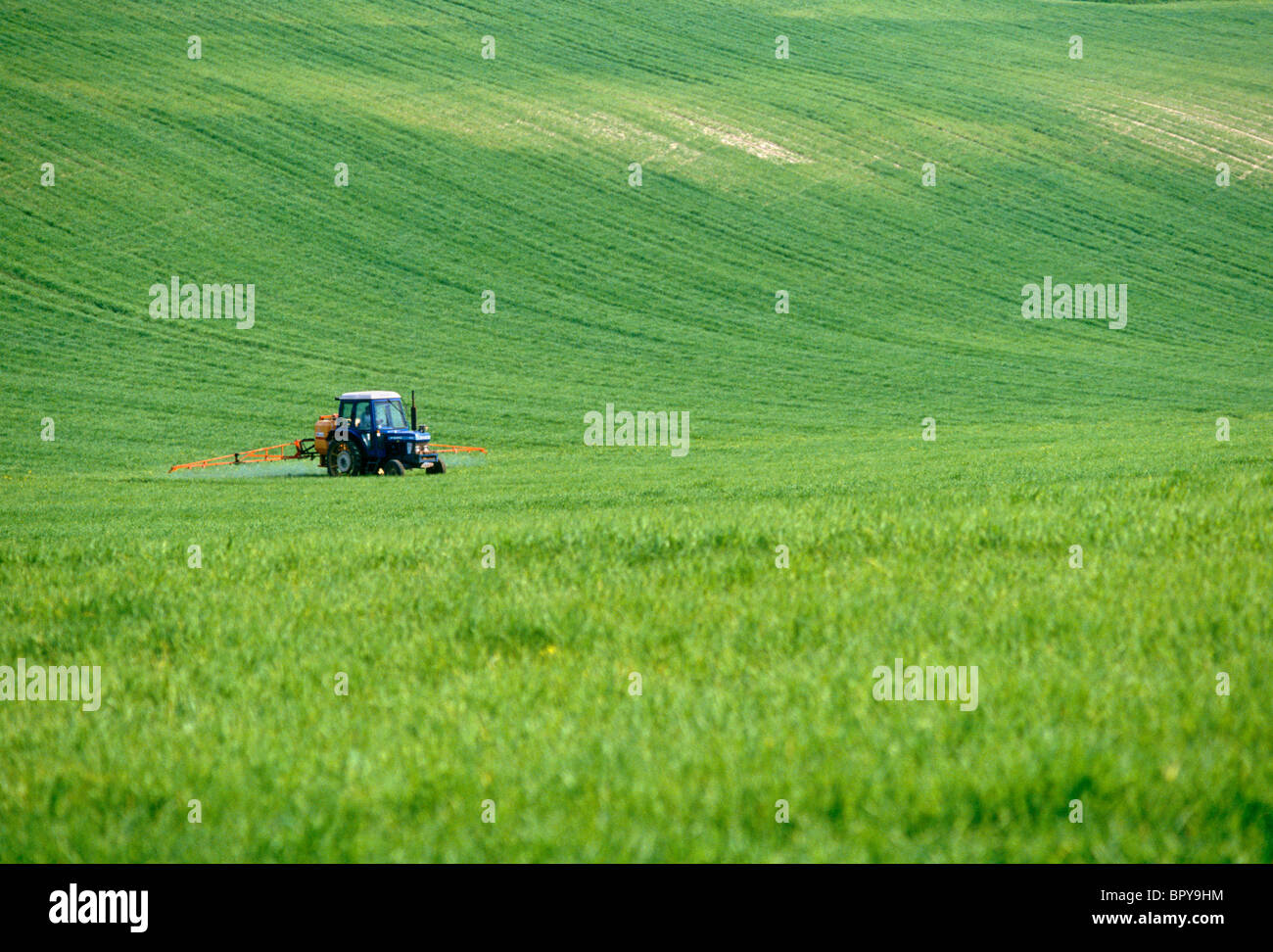 A lone farmer drives his Ford tractor across the expanse of a green ...