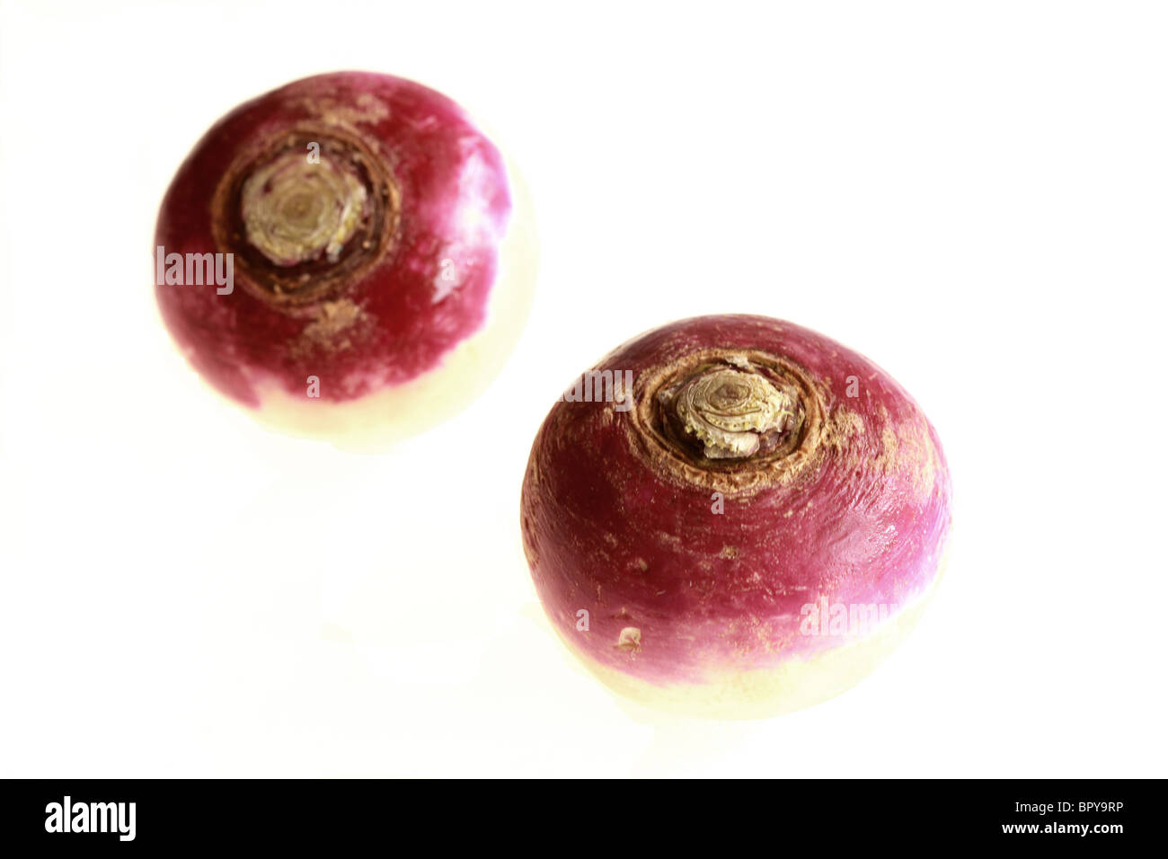 Strong mustard Cut Out Stock Images & Pictures - Alamy