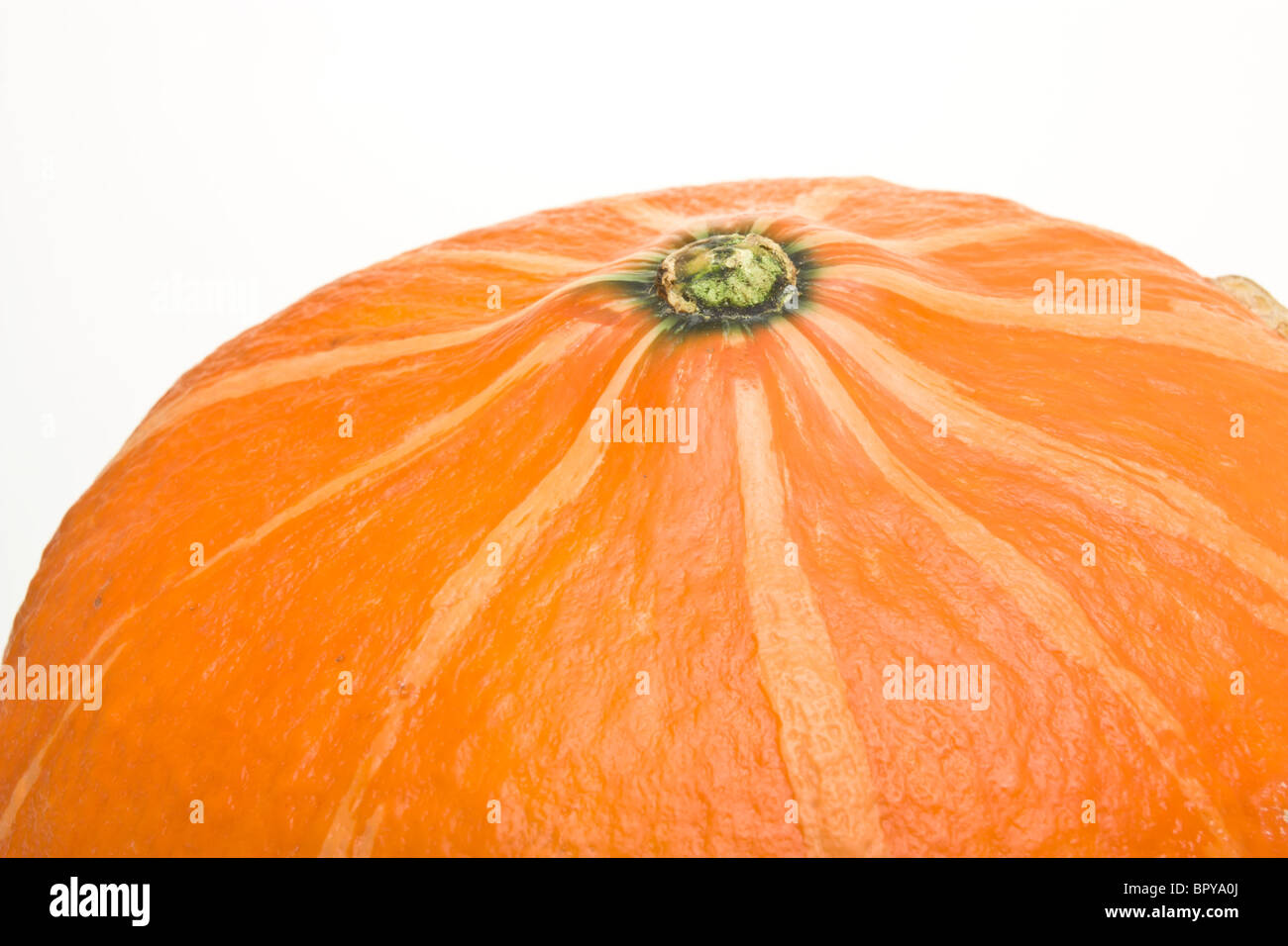 Small Miniature Pumpkin from low perspective isolated on white Stock ...