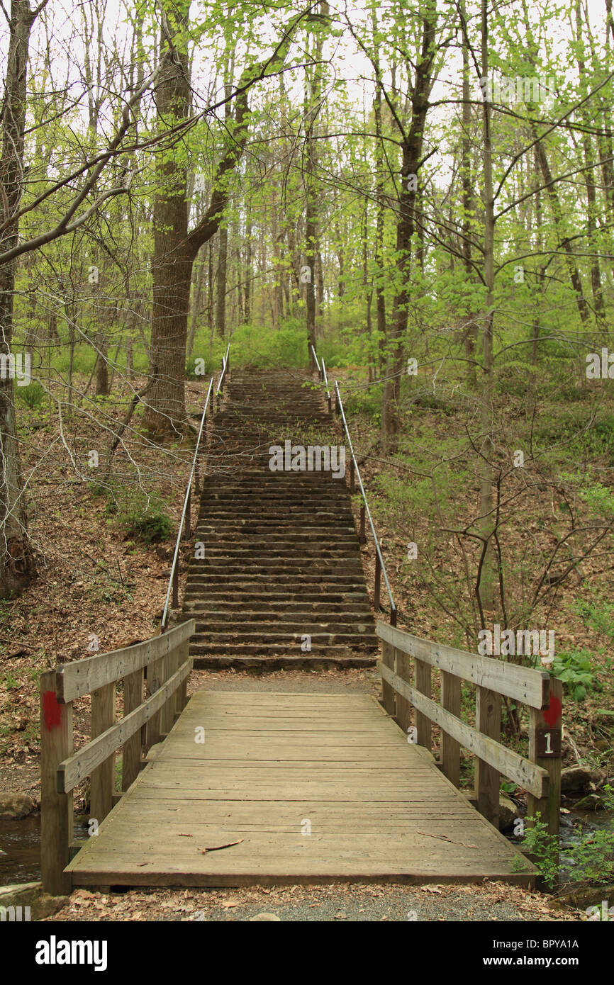 Wooden bridge and stairway Stock Photo - Alamy