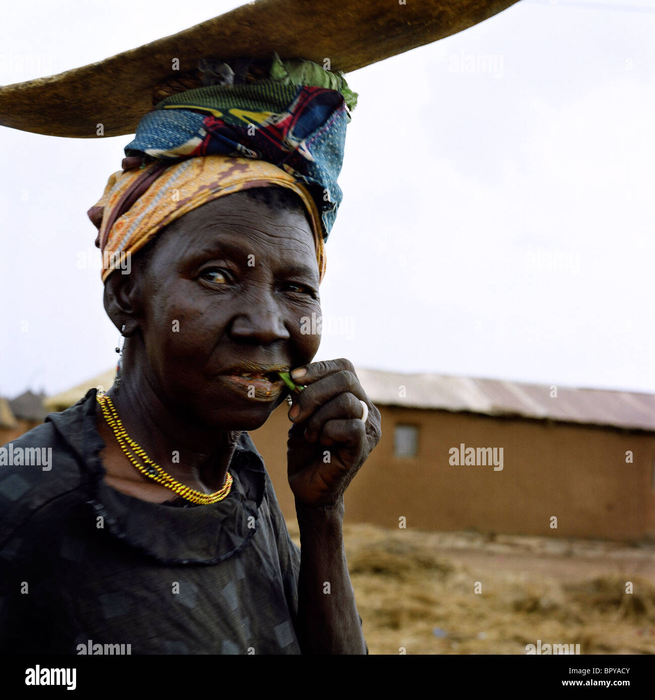 Twice a day women from the Gambaga camp go to the bush to collect ...