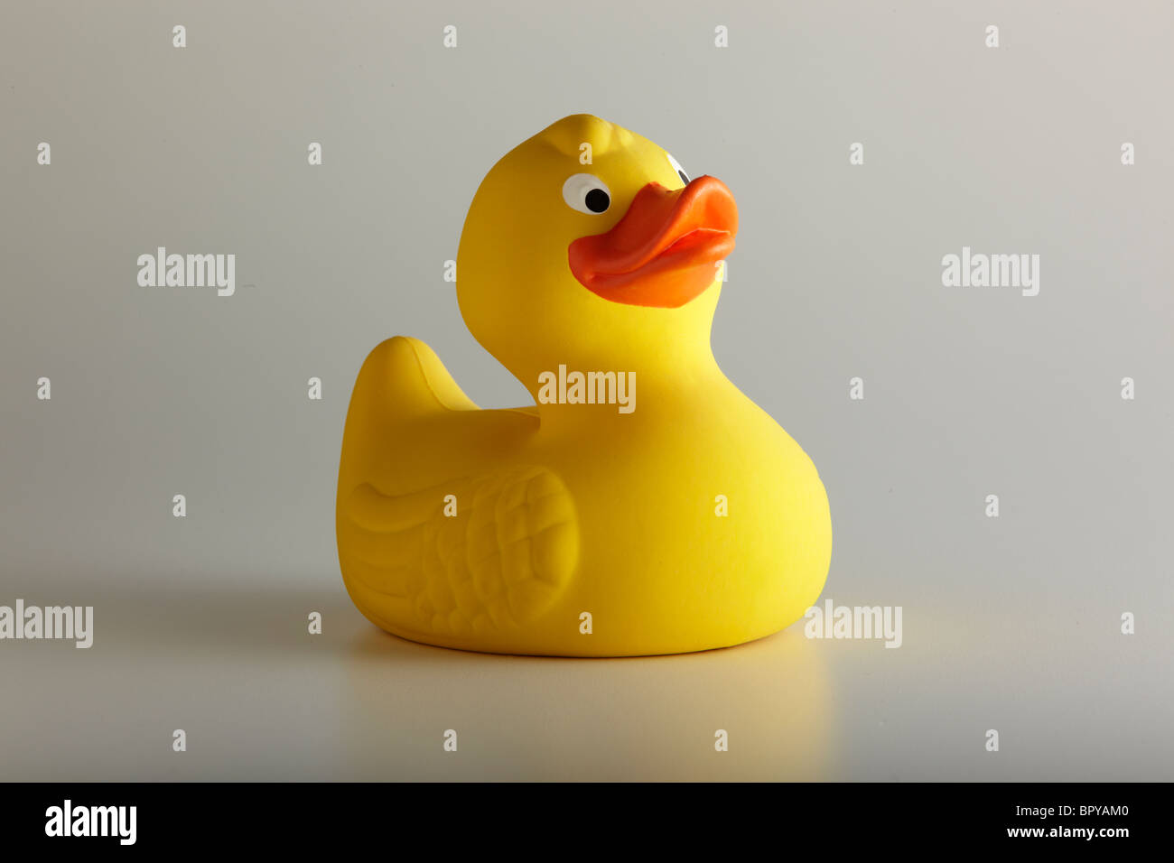 Yellow rubber duck Stock Photo - Alamy