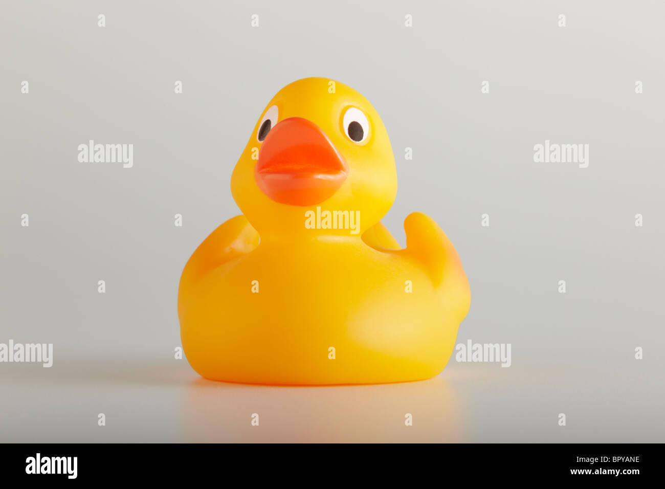 Yellow rubber duck Stock Photo - Alamy