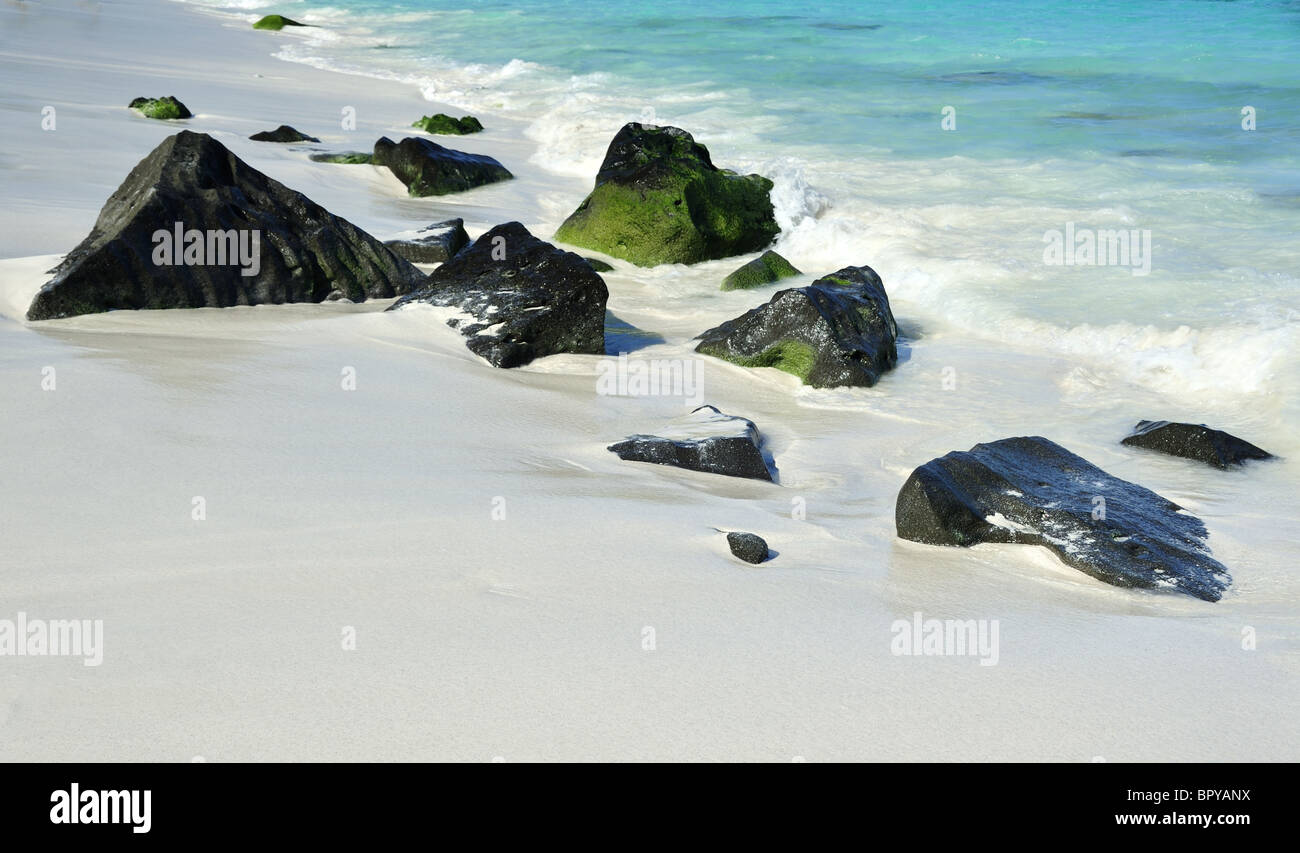 Waters Edge, Gardner Bay, Espanola Island, Galapagos Stock Photo - Alamy