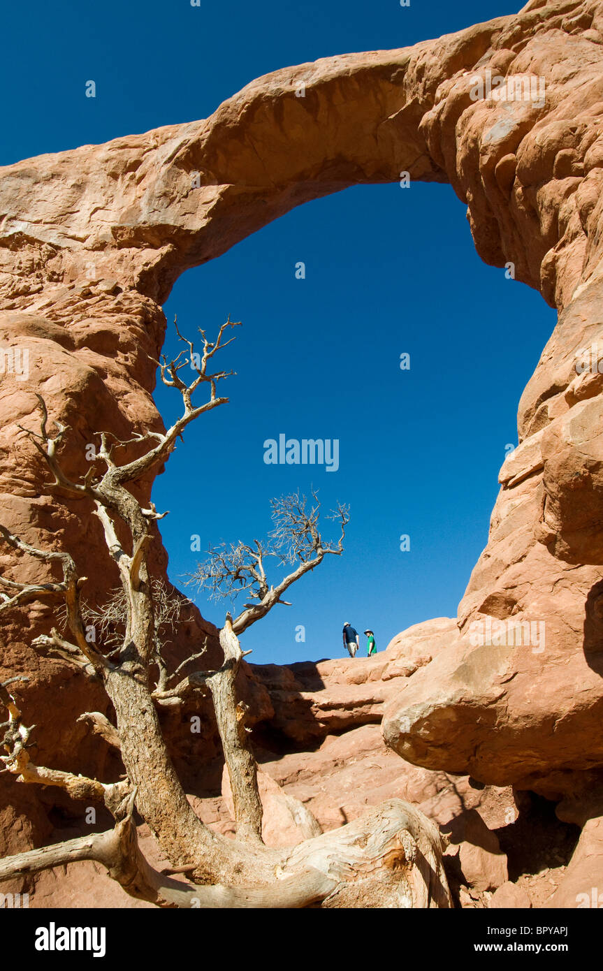 Turrent arch Arches National Park Moab Utah Stock Photo - Alamy