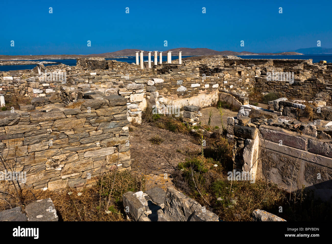 View of the houses of Delos with the Pillars of the Dionysus Temple in ...