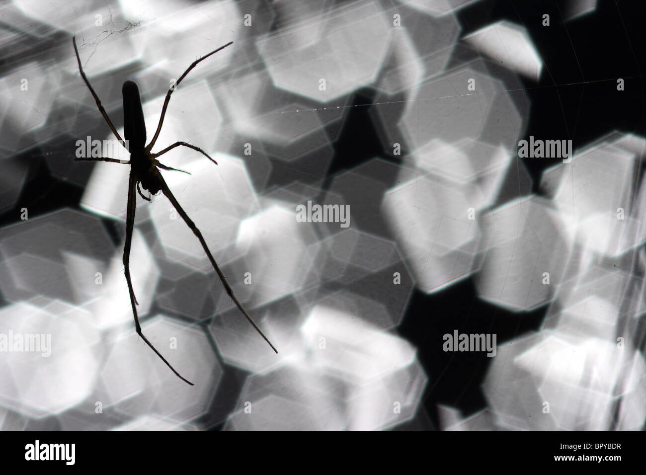 Daylight horror hi-res stock photography and images - Alamy