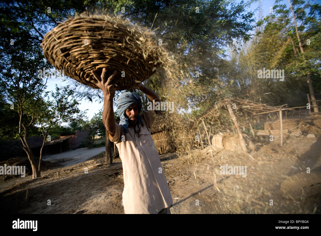 Man working the field countryside india Stock Photo - Alamy