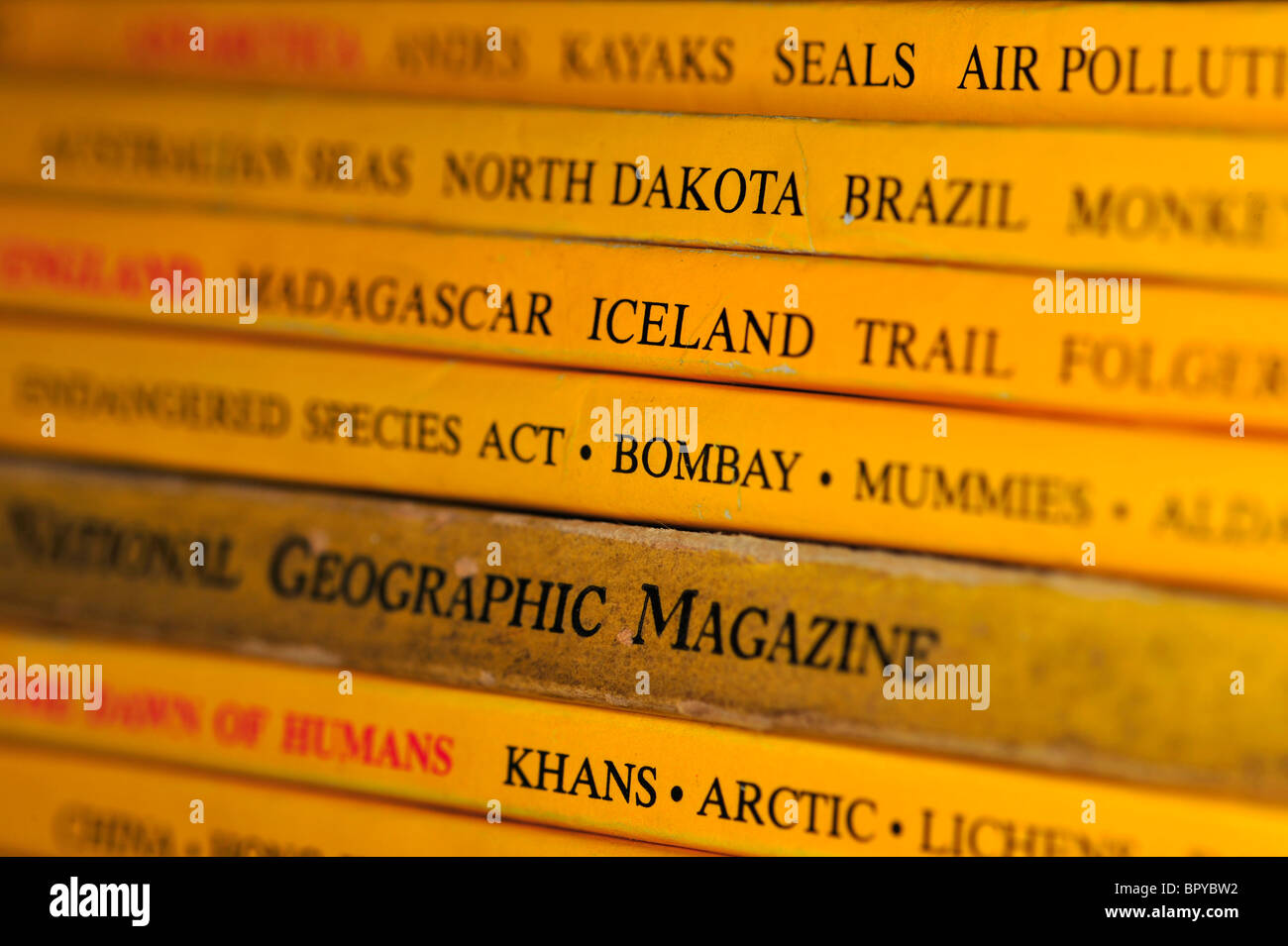 National Geographic Magazines in a stack Stock Photo - Alamy