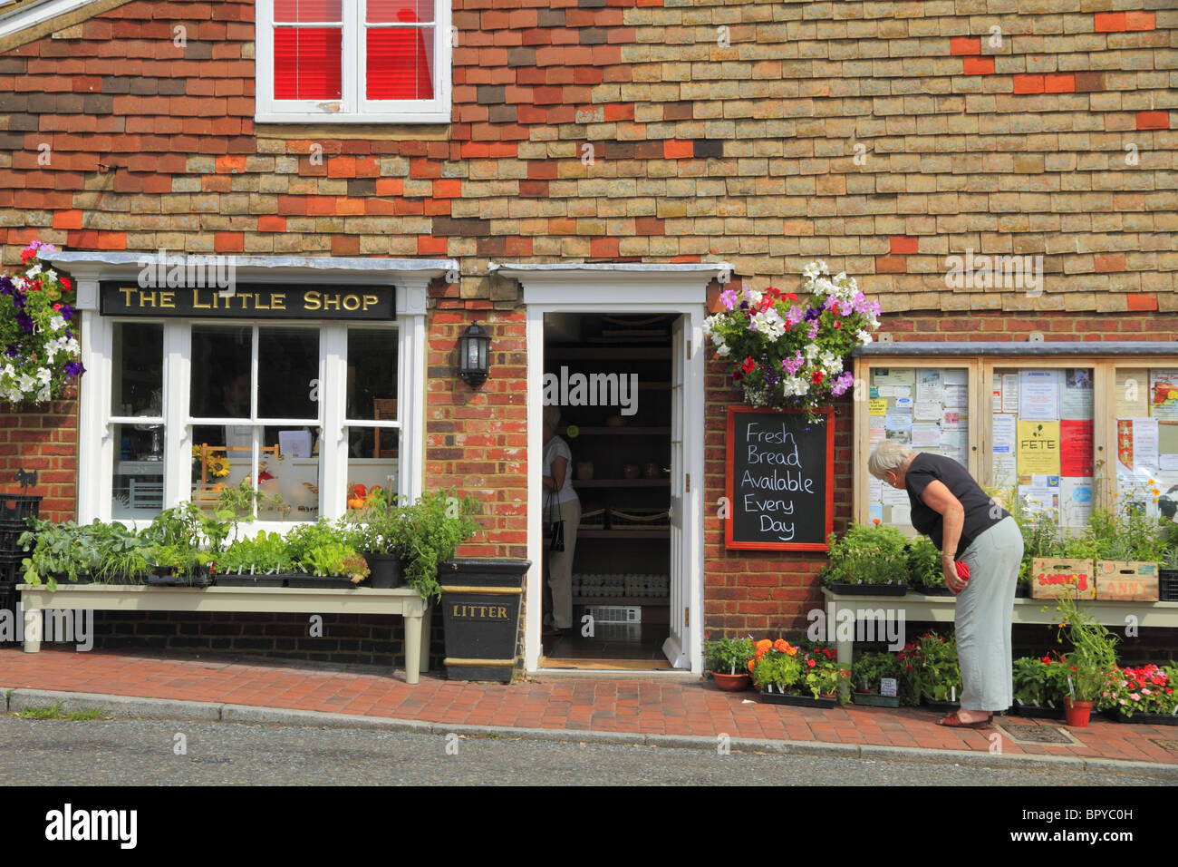 The Little Shop, Winchelsea, East Sussex, England Stock Photo - Alamy