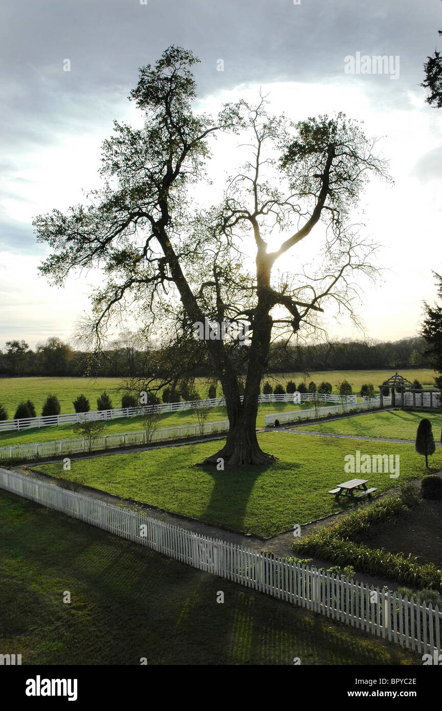 Carnton Plantation, Franklin, Tenn Stock Photo - Alamy