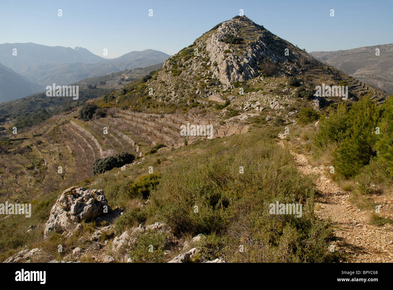 Terraced almond orchard hi-res stock photography and images - Alamy