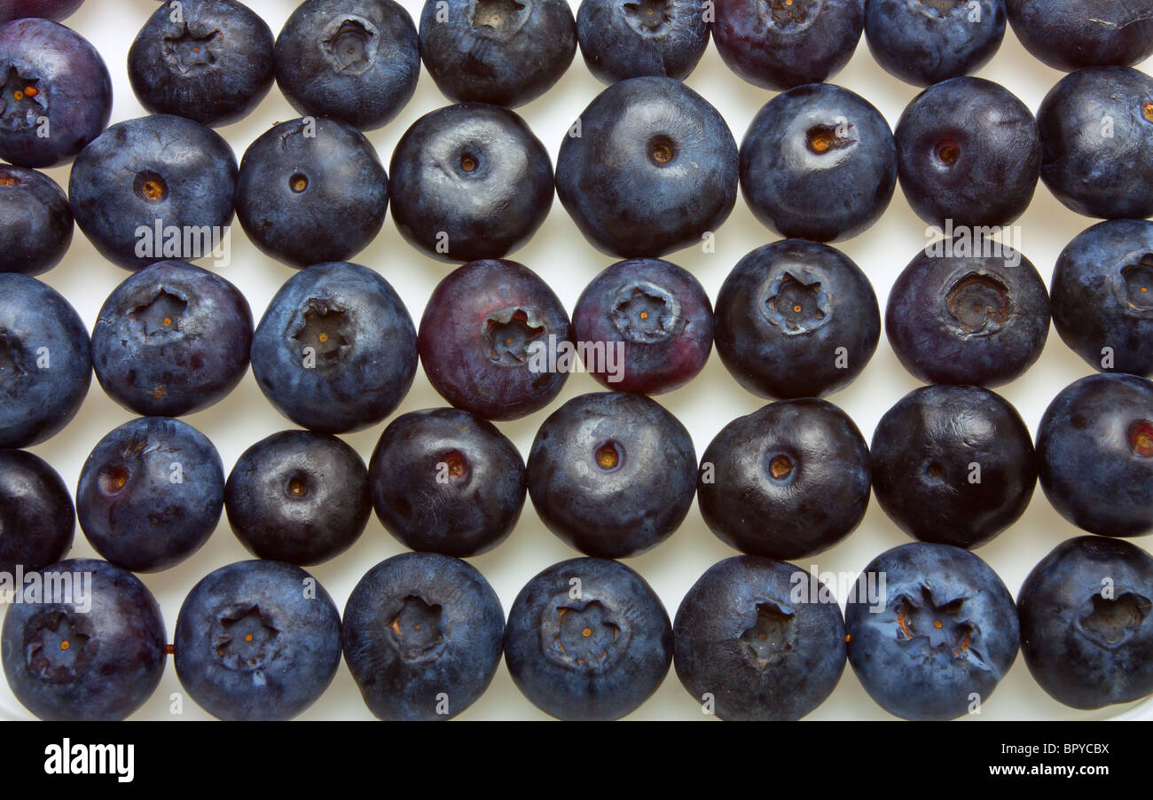 Abstract blueberries from low perspective isolated on white Stock Photo ...
