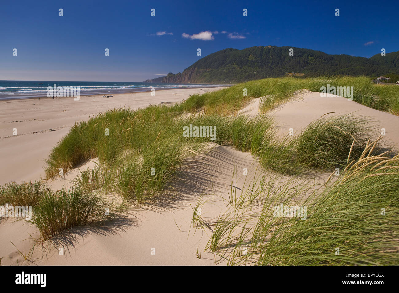 MANZANITA, OREGON, USA - sand dunes on beach on Oregon coast ...