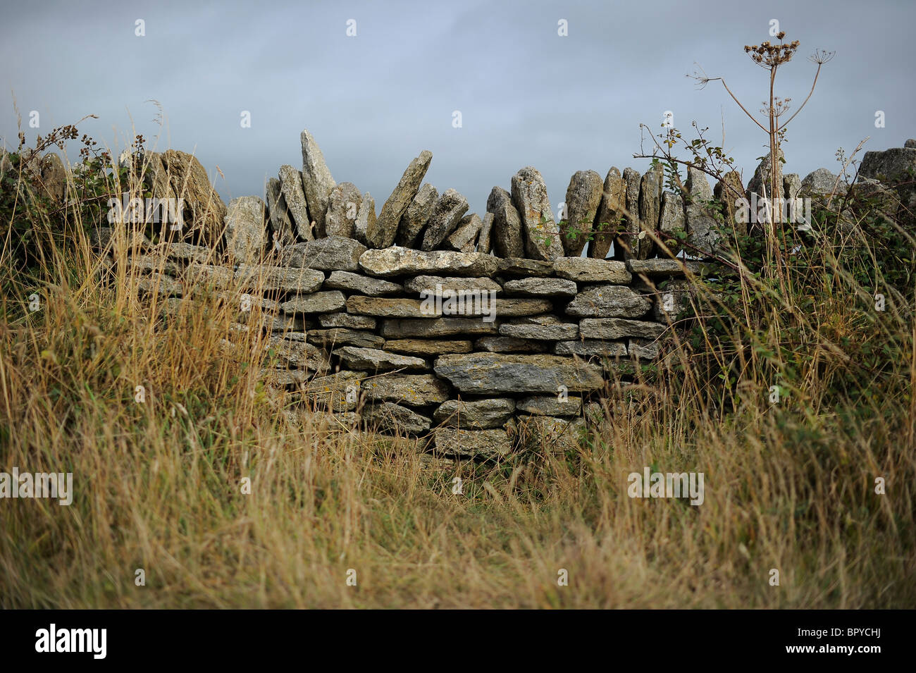 a traditional dry stone wall in Dorset, Uk Stock Photo - Alamy