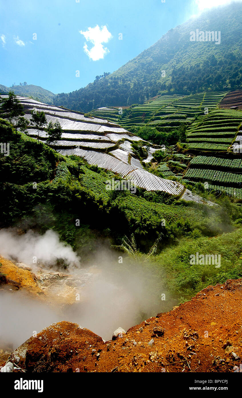 Dieng highland hi-res stock photography and images - Alamy