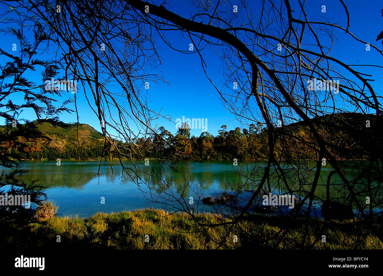 Dieng highland hi-res stock photography and images - Alamy
