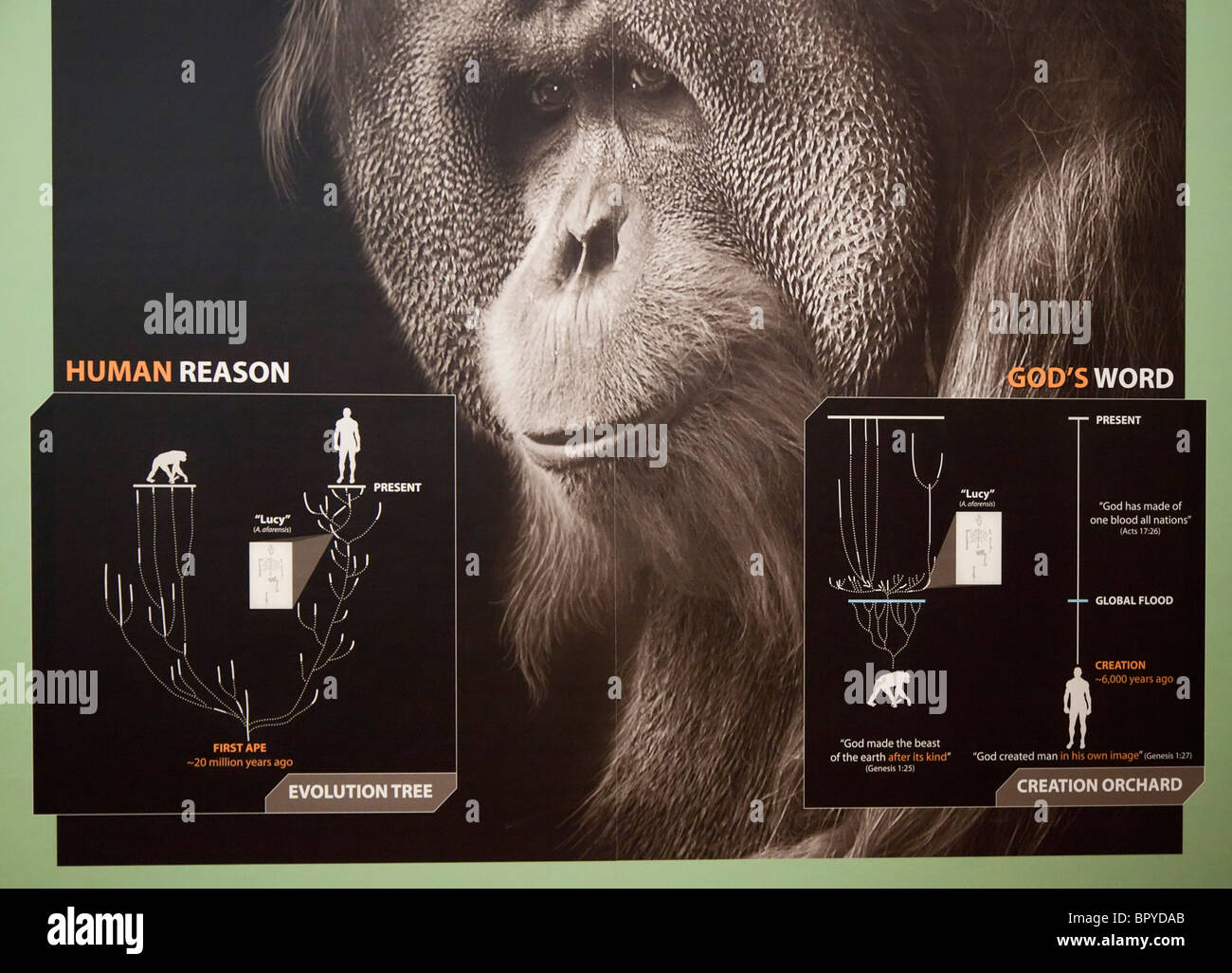 Creation museum kentucky hi-res stock photography and images - Alamy