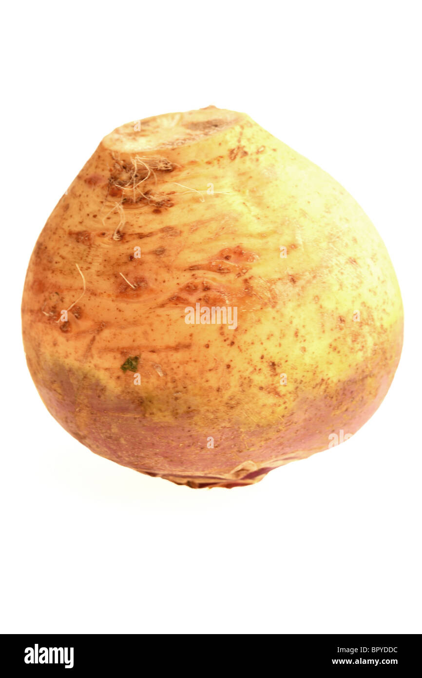 Swede Cut Out Stock Images & Pictures - Alamy