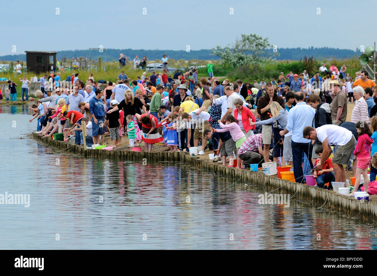 Walberswick, Suffolk. The Annual British Open Crabbing Championship at ...