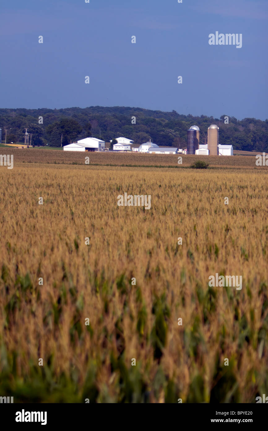 Midwestern scene hi-res stock photography and images - Alamy