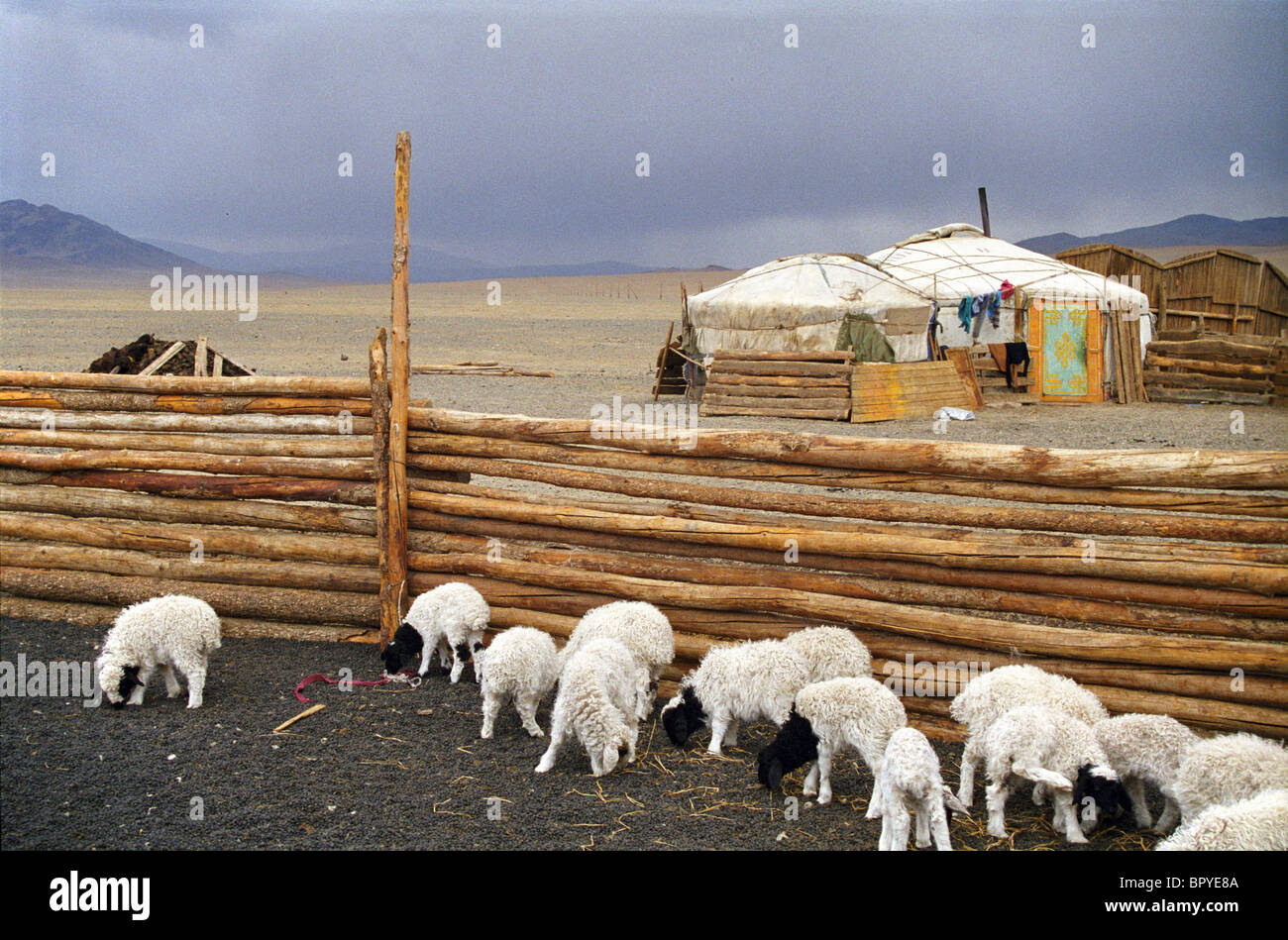 Yurt Mongolia mongolie Mongolie traditional native people Stock Photo ...