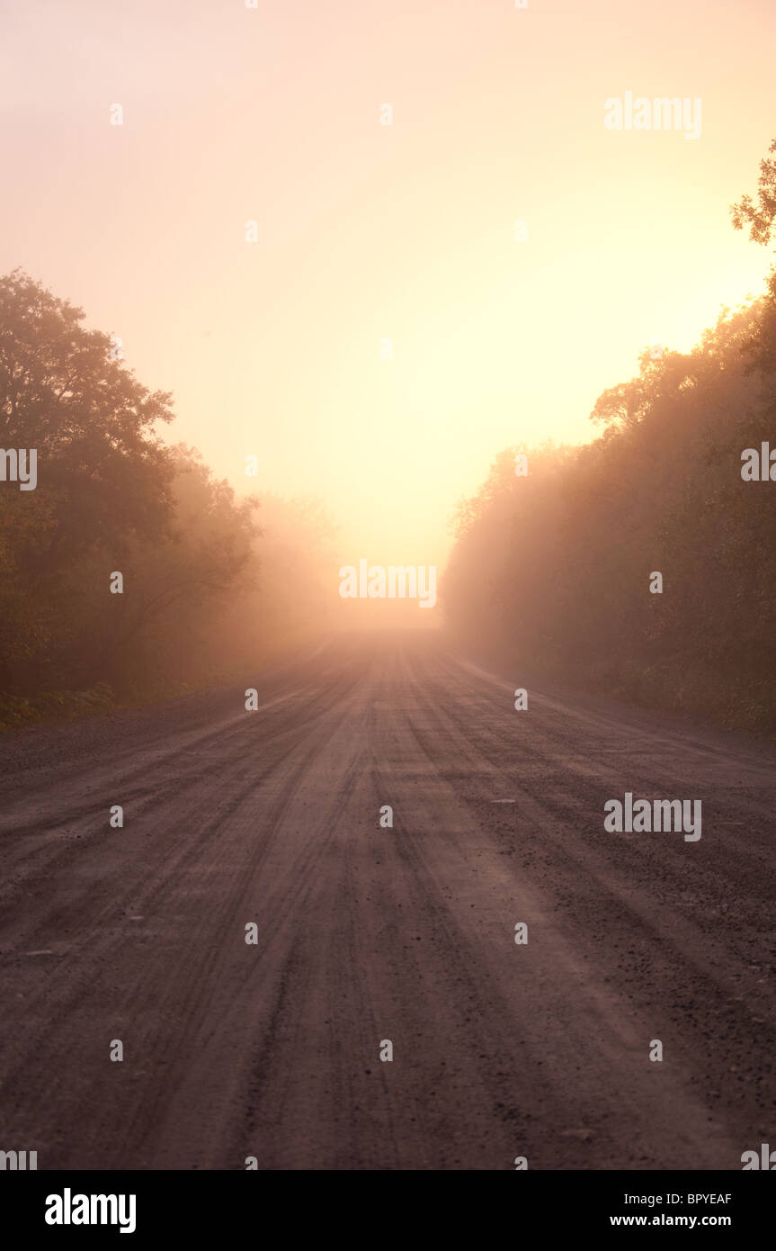 Foggy view of road with orange fiery haze Stock Photo - Alamy