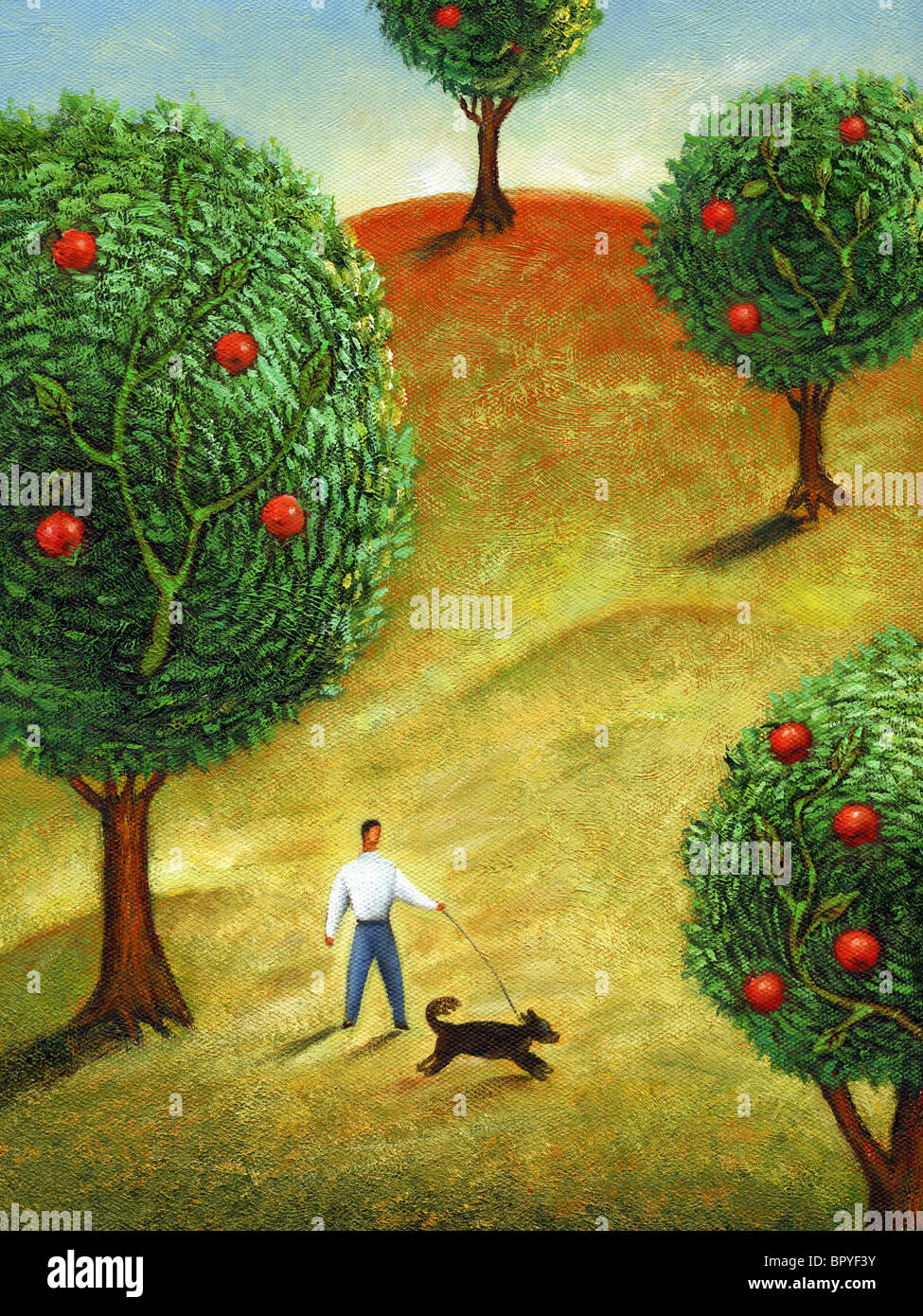 A man walking his dog in an apple orchard Stock Photo - Alamy